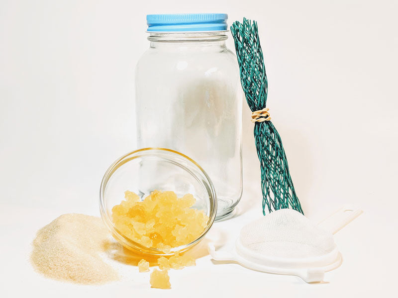 Water Kefir Complete Starter Set – Mother Earth Living